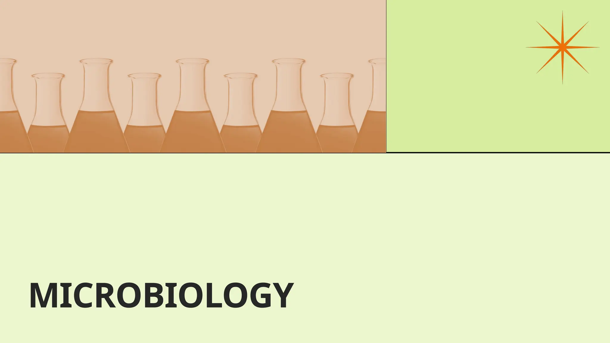 Microbiology template that can be use in presentation .pptx