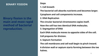 SEXUAL REPRODUCTION IN BACTERIA- AN OVERVIEW | PPTX