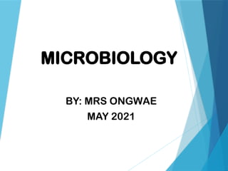 microbiology.pptxx̌xxxxxxxxxxxxxxxxxxxxxx | PPTX