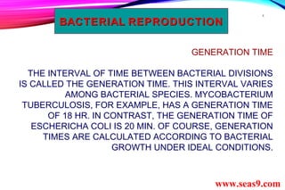 Microbiology Antibiotics | PPT