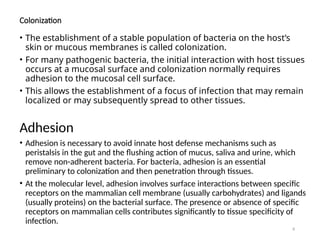 Microbiology-Bacterial Diseases in microbiology | PPTX