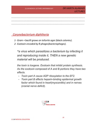 Microbiology bacteriology | PDF