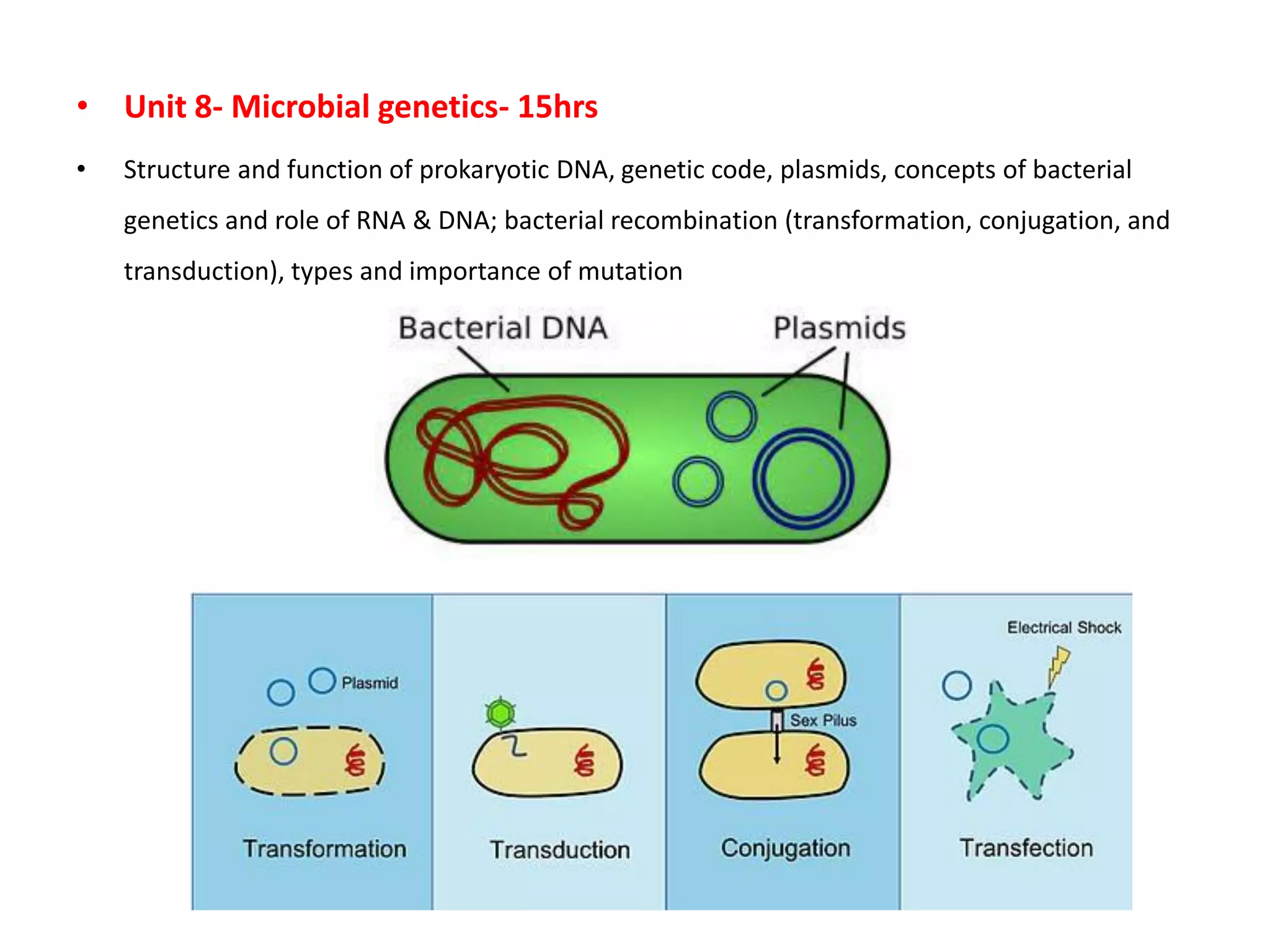 Microbiology -T.U. B.Sc. 1st Year General Microbiology Syllabus (Nepal ...