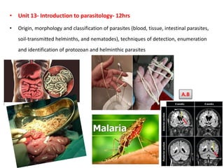Microbiology -T.U. B.Sc. 1st Year General Microbiology Syllabus (Nepal ...