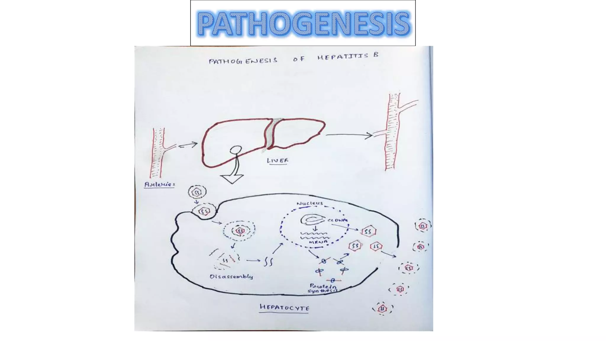 Pathogenesis of viral diseases .pptx