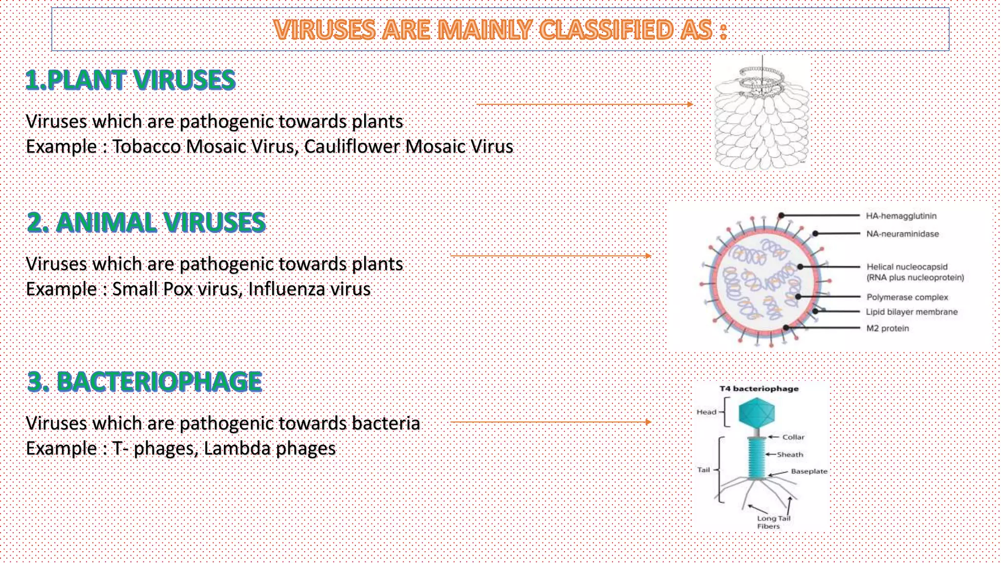 Pathogenesis of viral diseases .pptx