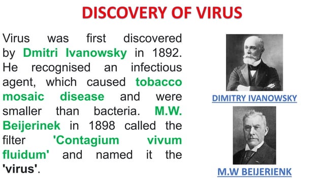 Pathogenesis of viral diseases .pptx