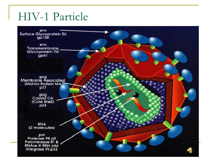 Microbiology hiv-yf