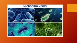 MICROBIOLOGY - INTRODUCTION.pptx