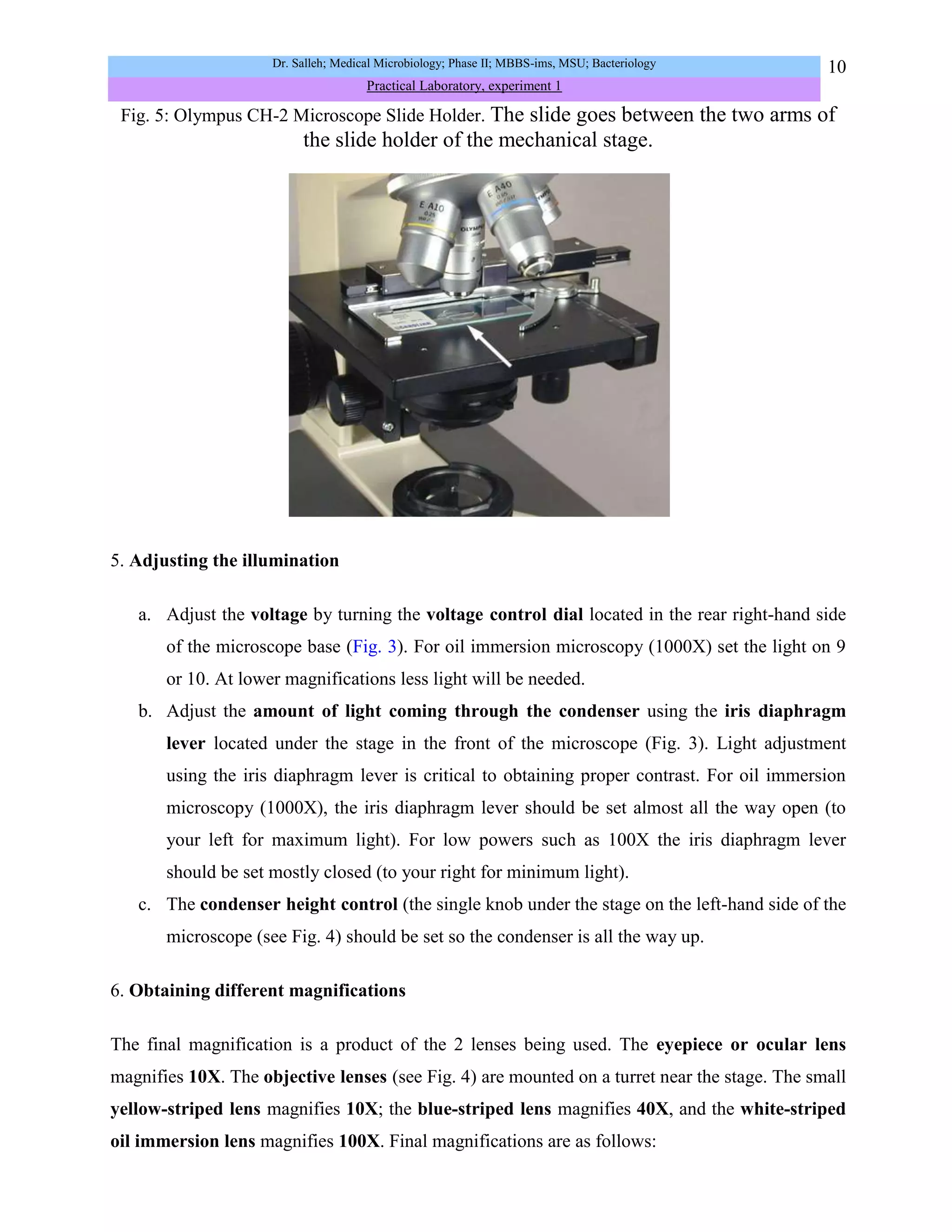 Microbiology lab practical | DOCX