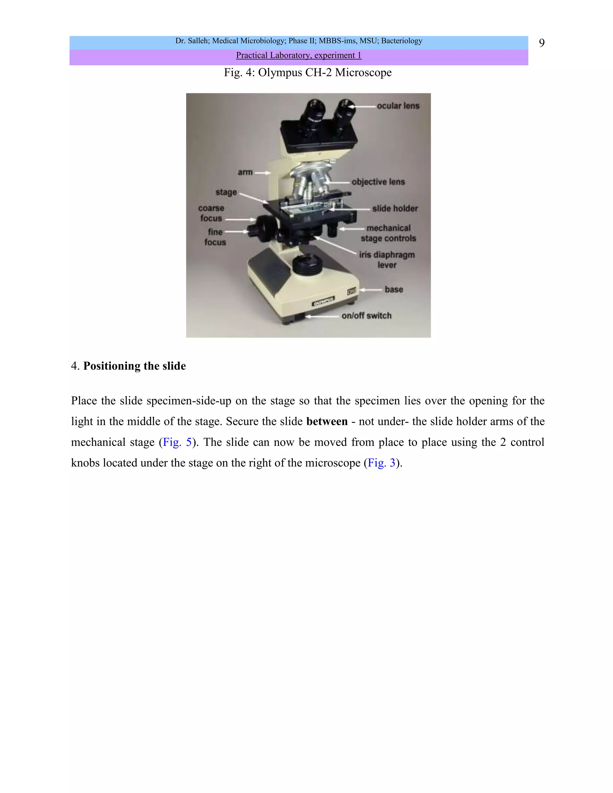Microbiology lab practical | DOCX