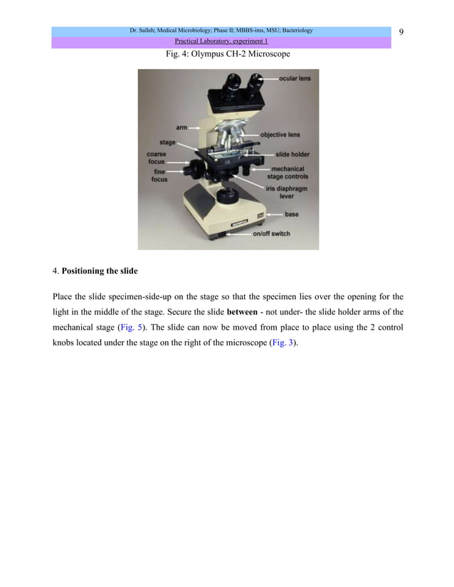 Microbiology lab practical | DOCX | First Aid | Injuries
