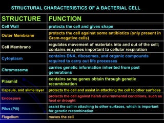 Microbiology lec1 | PPT