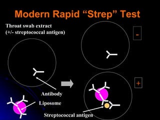 Rapid Strep Test Mechanism