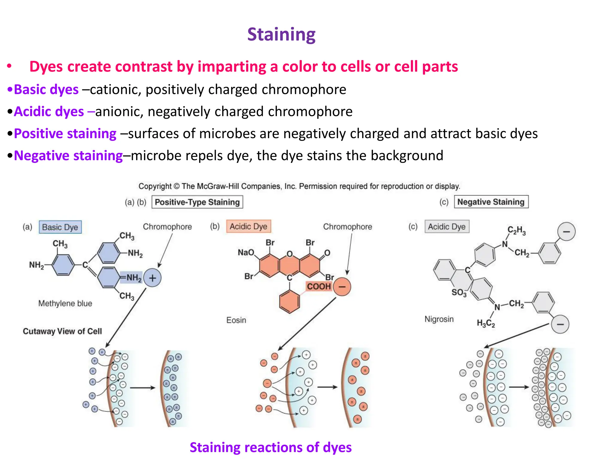 MICROBIOLOGY-METHODS OVERVIEW OF BASIC MICROBIOLOGY | PDF