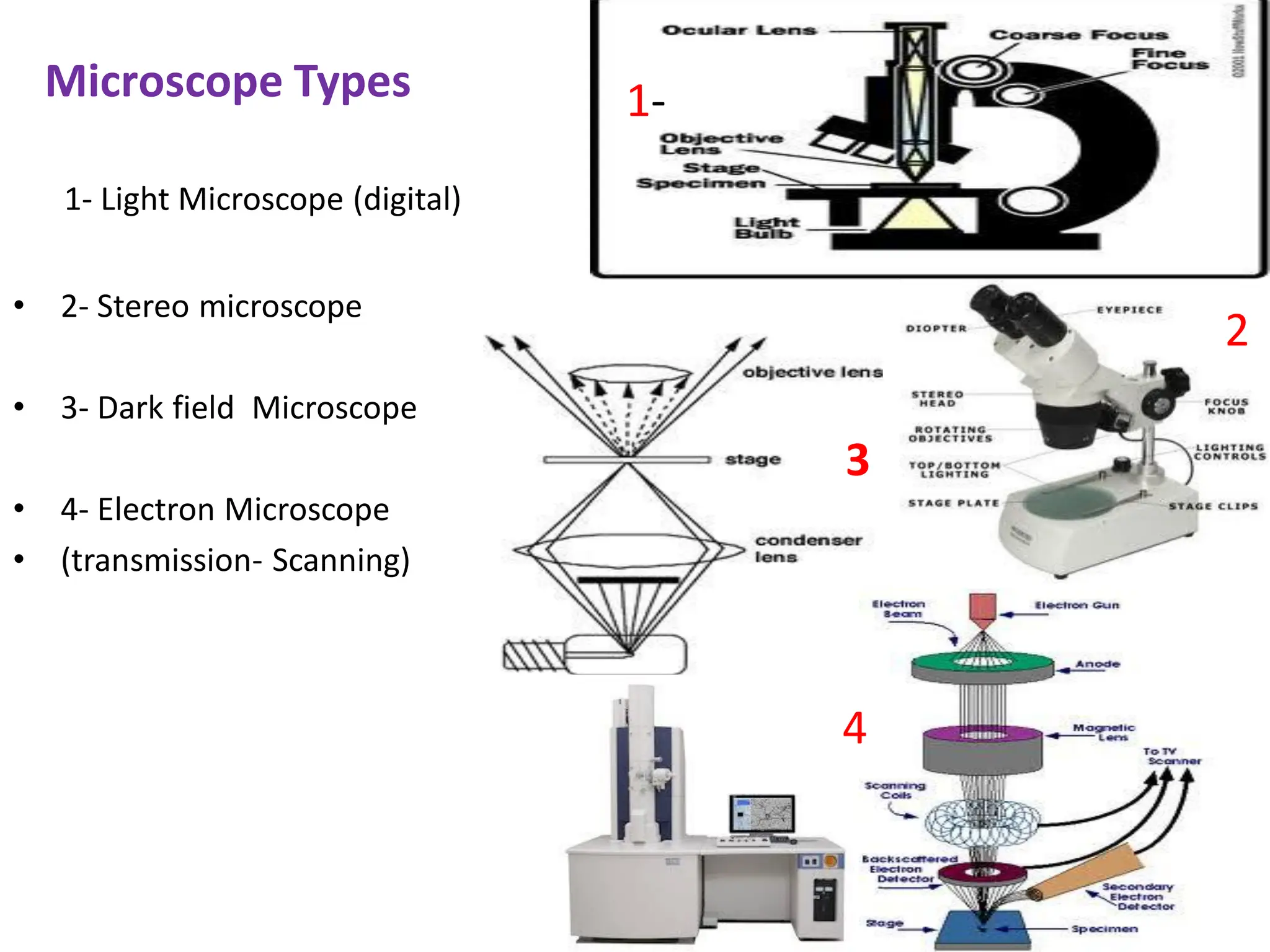 MICROBIOLOGY-METHODS OVERVIEW OF BASIC MICROBIOLOGY | PDF