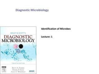 MICROBIOLOGY-METHODS OVERVIEW OF BASIC MICROBIOLOGY | PDF | Infectious ...