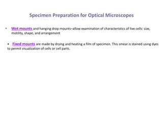 MICROBIOLOGY-METHODS OVERVIEW OF BASIC MICROBIOLOGY | PDF | Infectious ...
