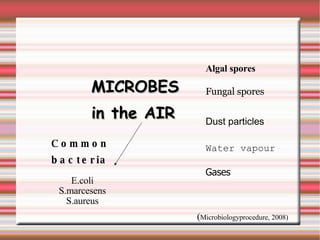 Microbiology Of Air | PPT