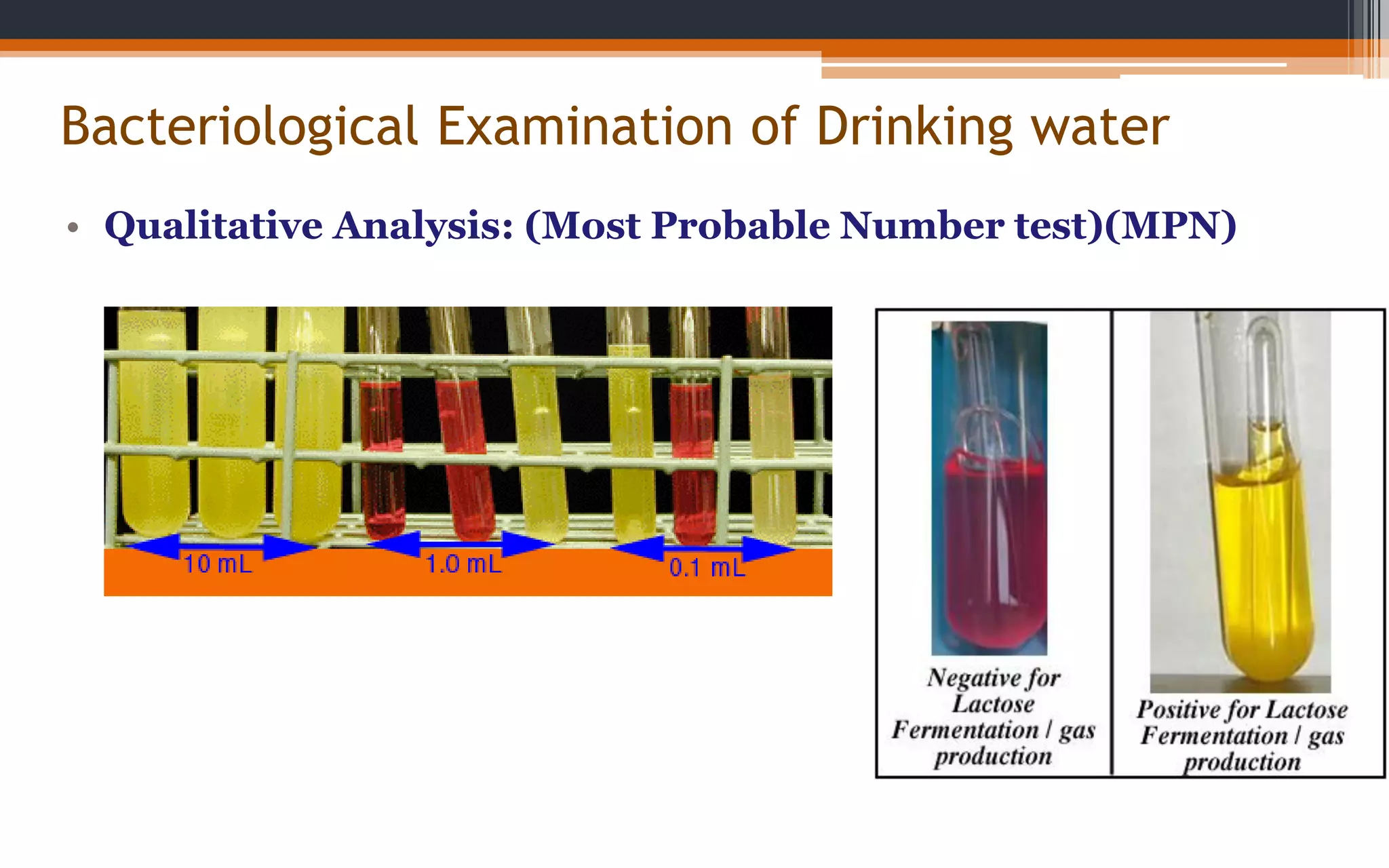 Microbiology of Drinking Water | PDF