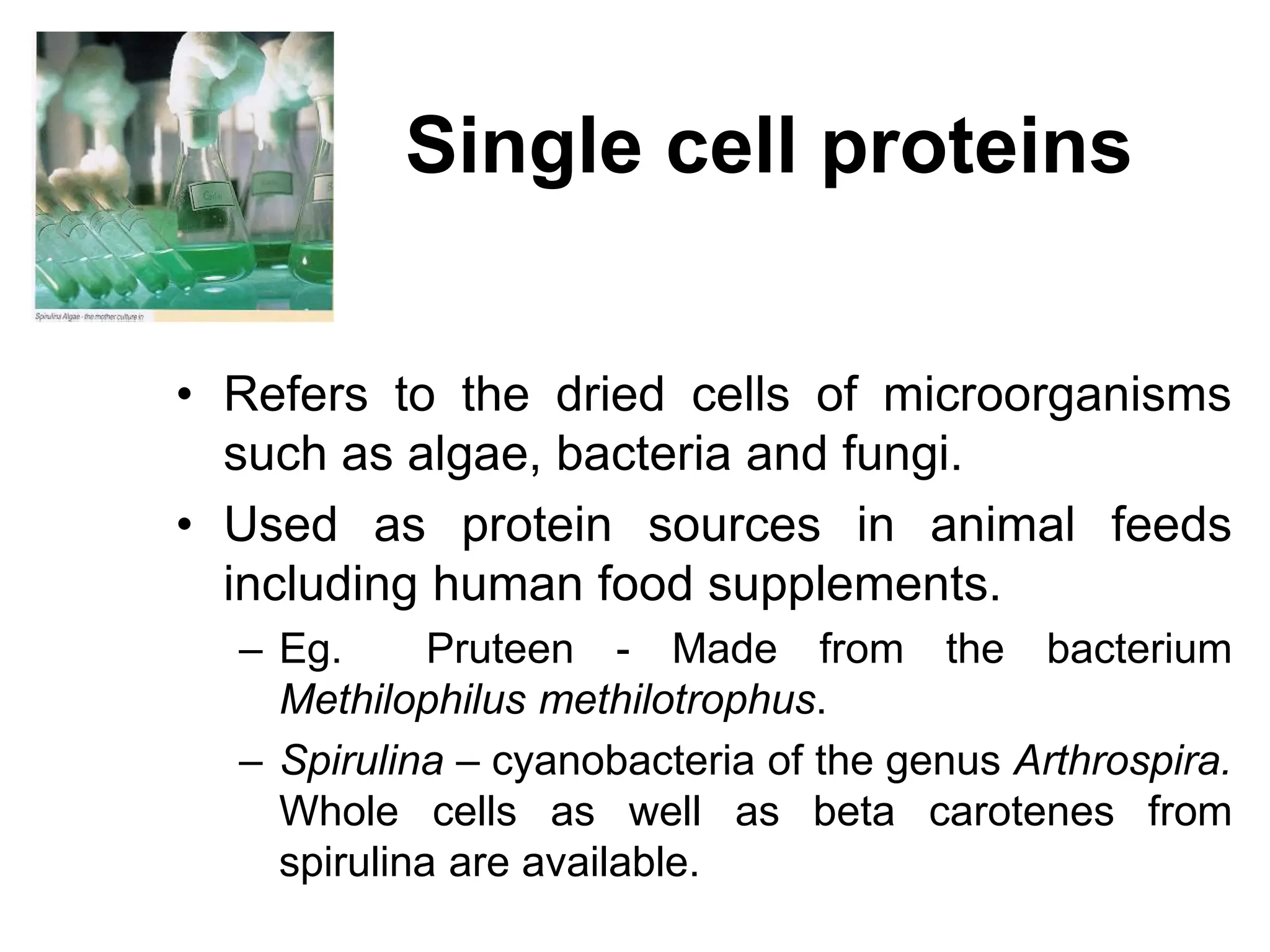 microbiology-of-fermented-foods.ppt