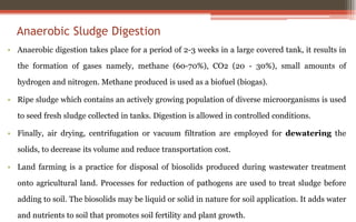 Microbiology of wastewater & Wastewater Treatment | PDF