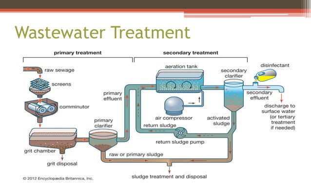 Microbiology of wastewater & Wastewater Treatment