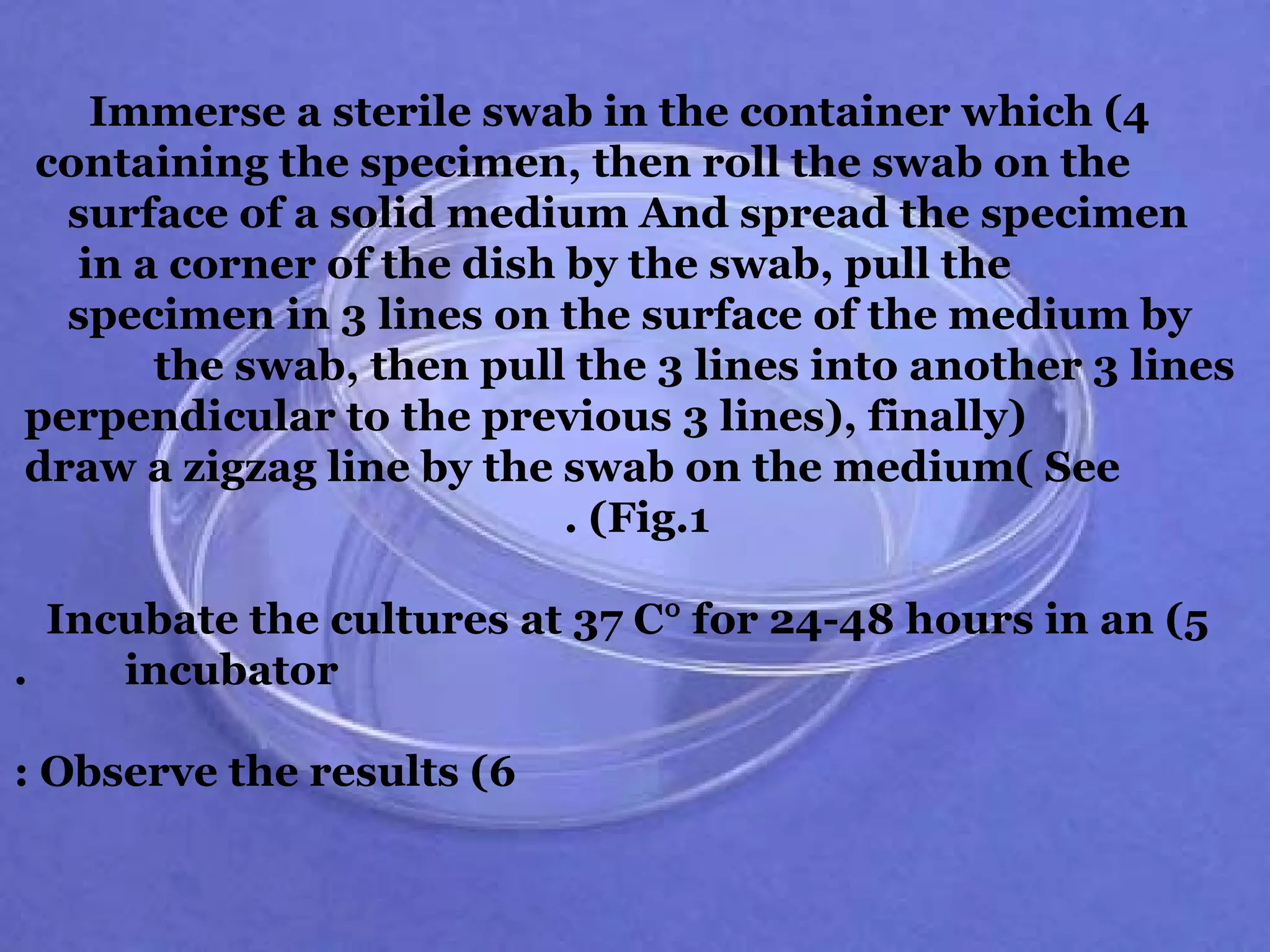 Microbiology Power Point | PPT