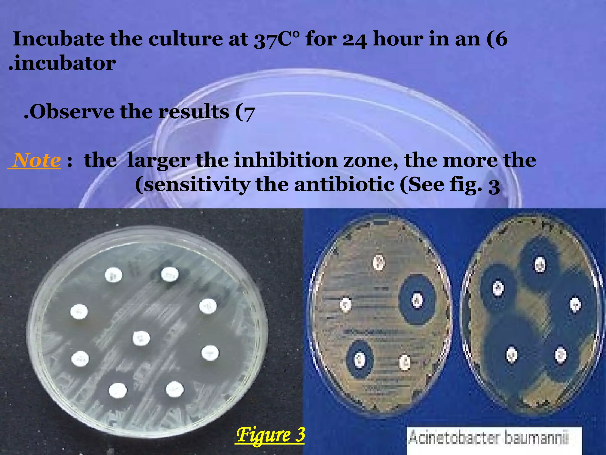 Microbiology Power Point | PPT