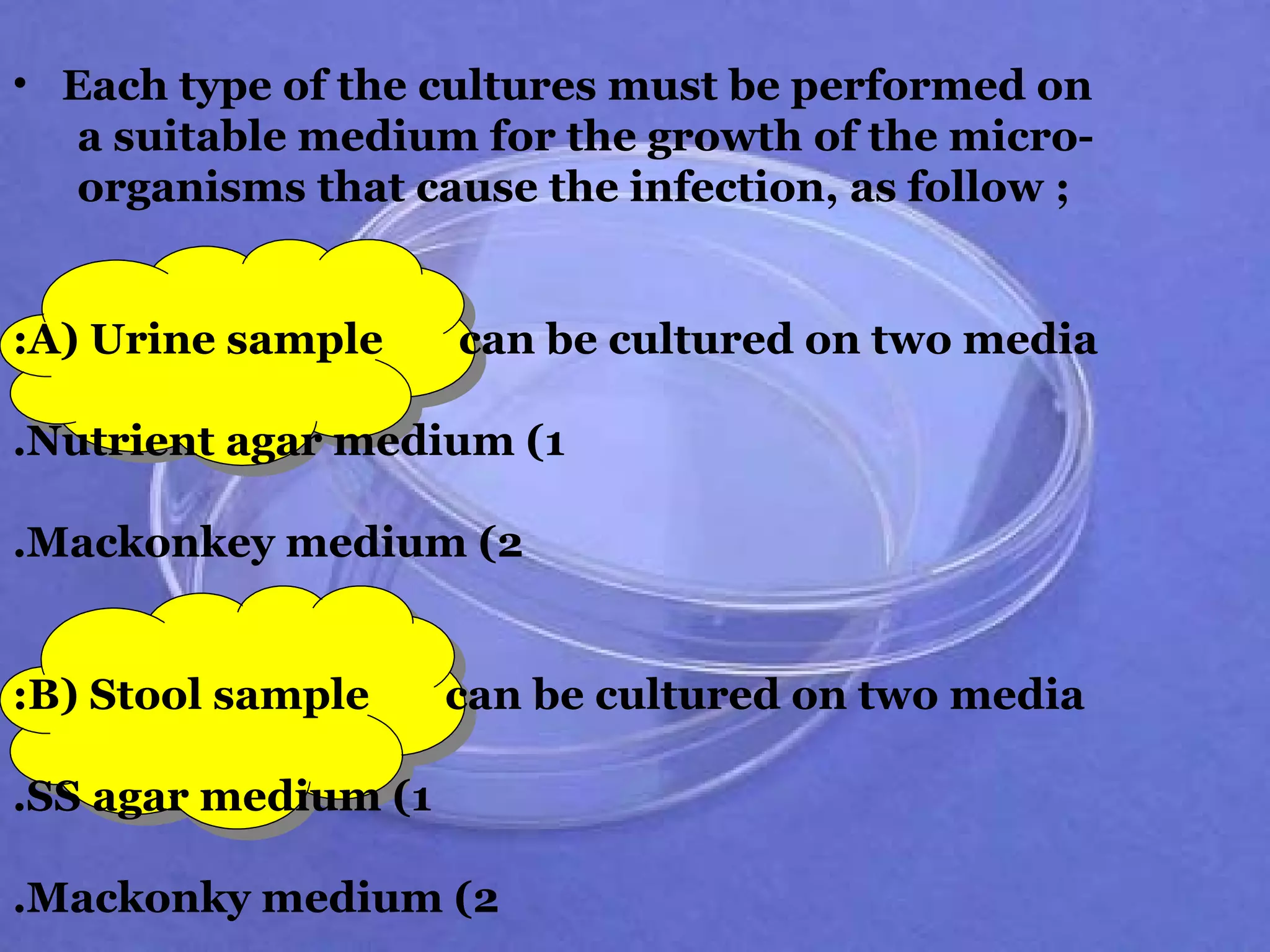 Microbiology Power Point | PPT