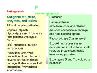 Microbiology-pseudomonas pptcgvhhuu.pptx