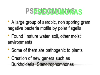 Microbiology-pseudomonas pptcgvhhuu.pptx