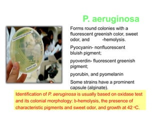 Microbiology-pseudomonas pptcgvhhuu.pptx