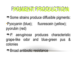 Microbiology-pseudomonas pptcgvhhuu.pptx