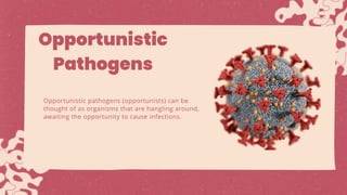 MICROBIOLOGY-REPORTINGoeoeodkskekfkzkekg | PPTX