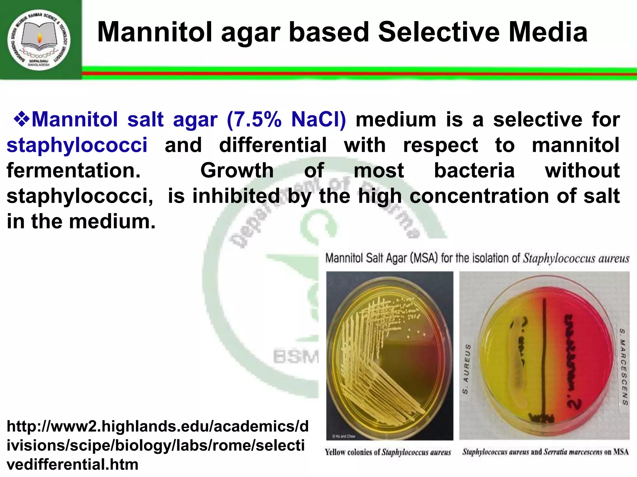 Selective Media | PPTX