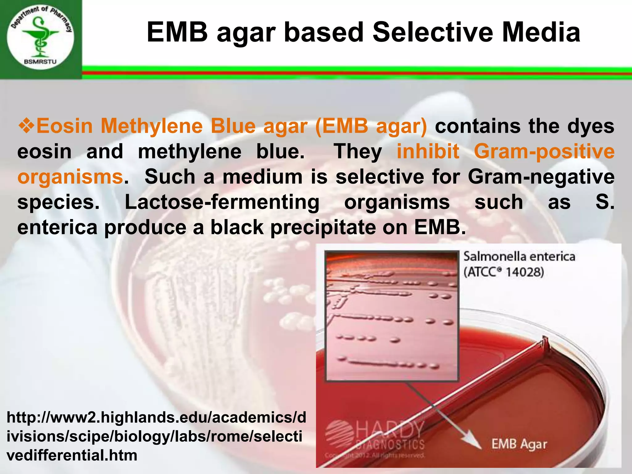 Selective Media | PPTX