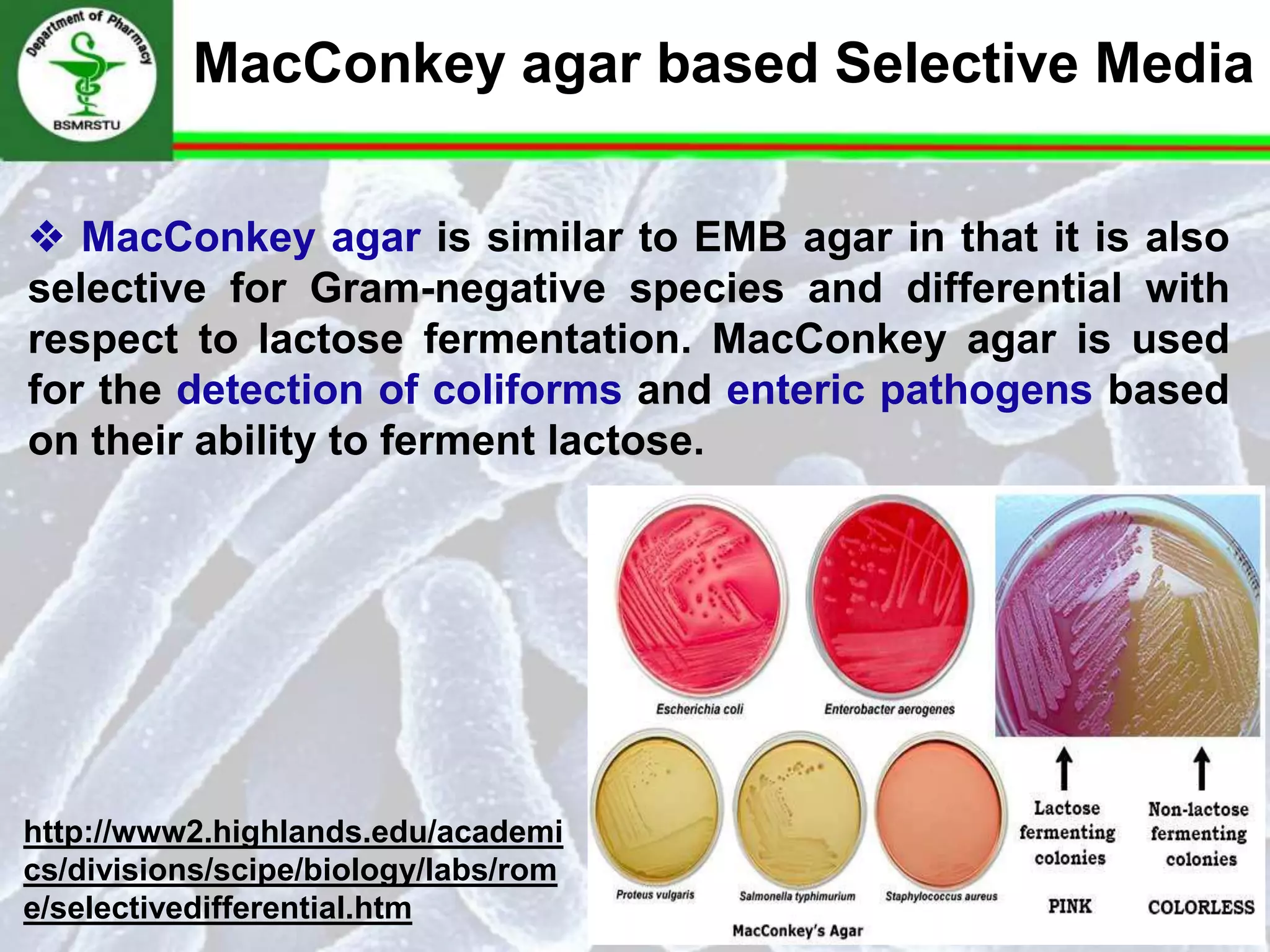 Selective Media | PPTX