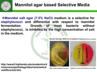 Selective Media | PPTX