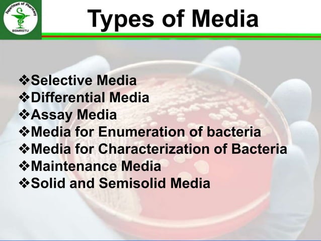 Selective Media | PPTX