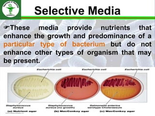 Selective Media | PPT