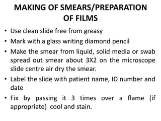 MICROBIOLOGY - STAINING-1.pptx