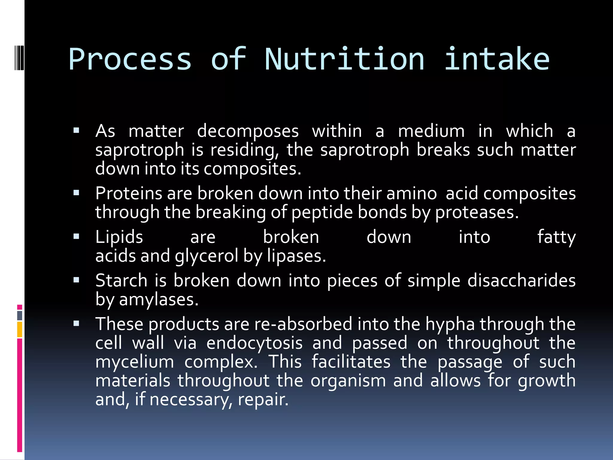 Growth and Nutrition of Fungi | PPTX