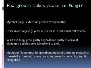 Growth and Nutrition of Fungi | PPTX