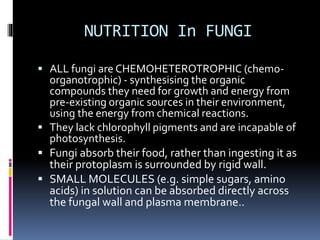 Growth and Nutrition of Fungi | PPTX