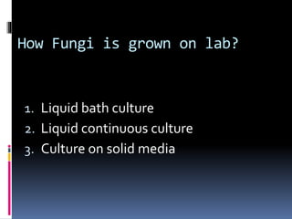 Growth and Nutrition of Fungi | PPTX