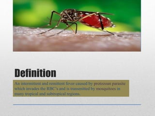 malaria | PPT