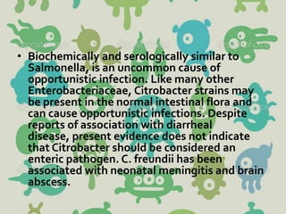 Microbiology - Enterics ( Citrobacter, Edwardsiella, & Arizonae ) | PPTX