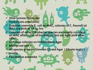 Microbiology - Enterics ( Citrobacter, Edwardsiella, & Arizonae ) | PPTX