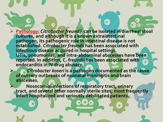 Microbiology - Enterics ( Citrobacter, Edwardsiella, & Arizonae ) | PPTX